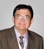Leadership Team - Grasim